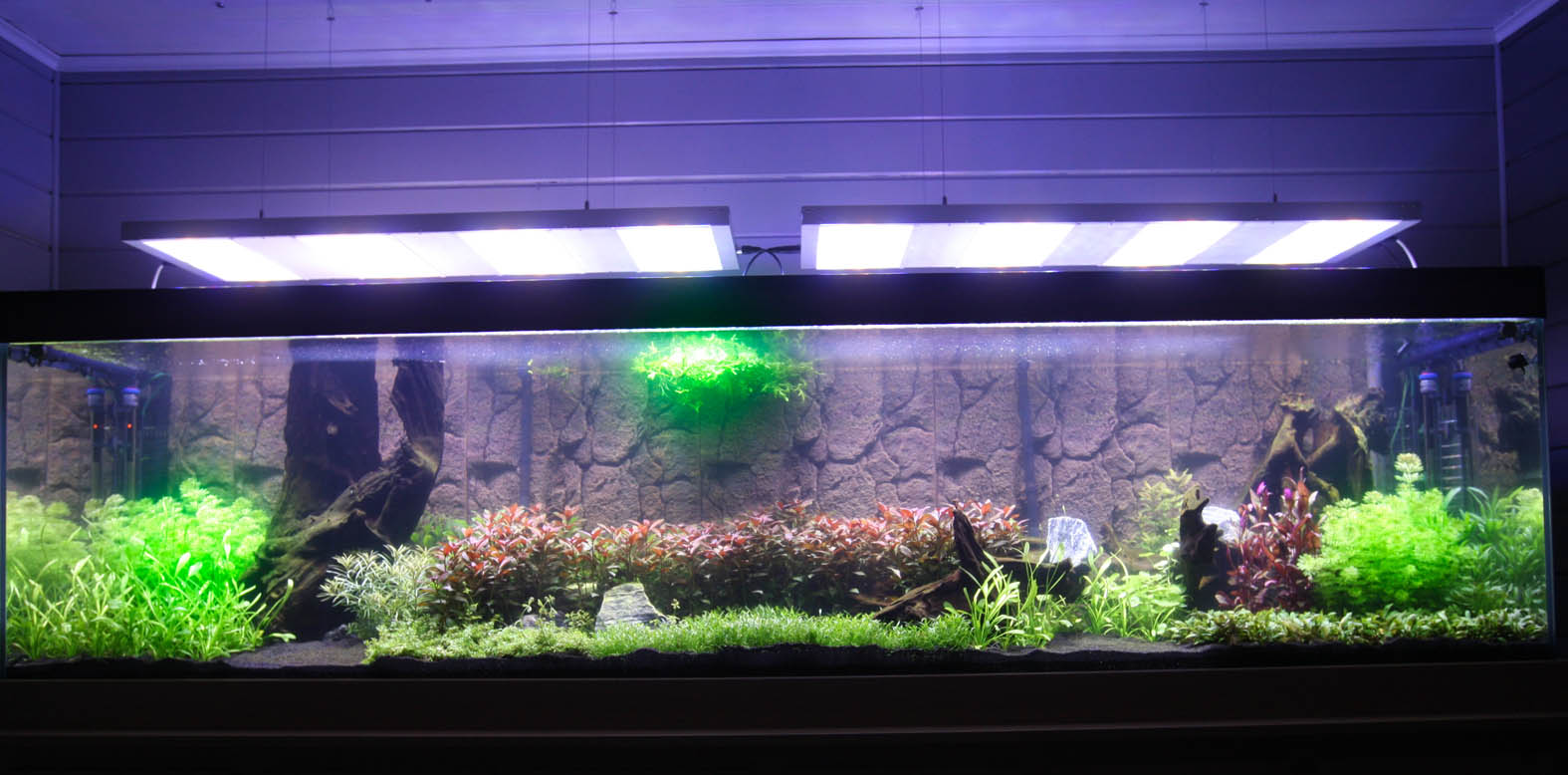 Lumirium - éclairage LED pour aquarium récifal et d'eau douce
